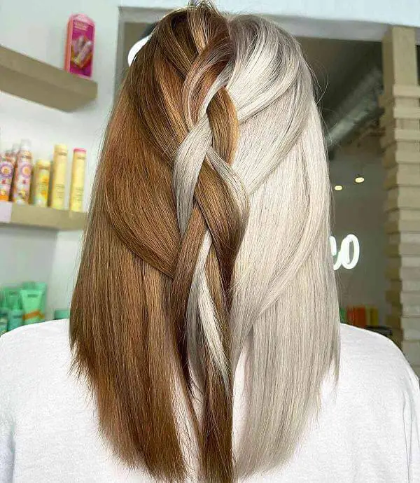 Split Dyed Hair Ideas