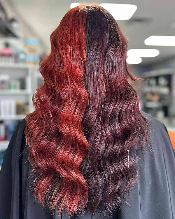 Split Dyed Hair Ideas
